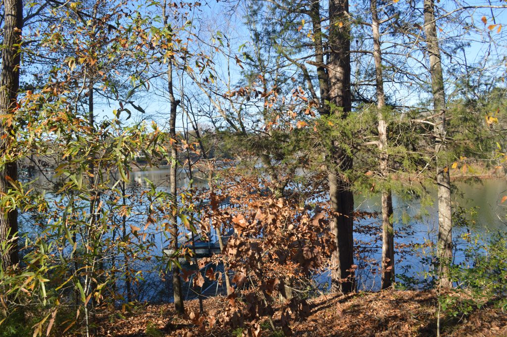 Pointe Harbor - Lake Keowee Real Estate