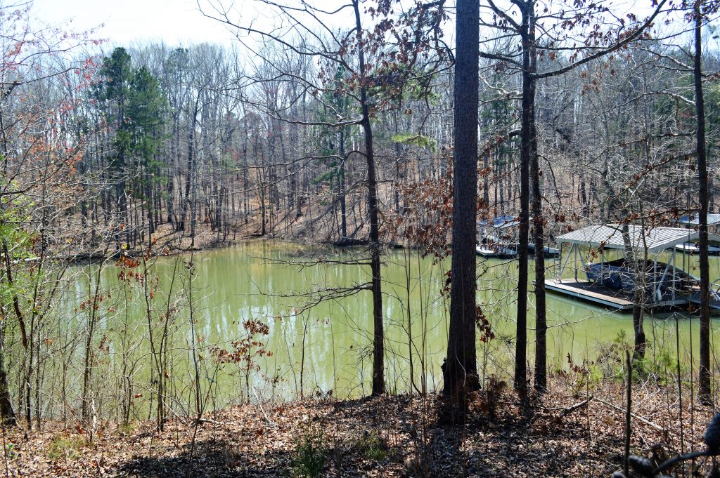 Oak Stone Shores - Lake Keowee Real Estate