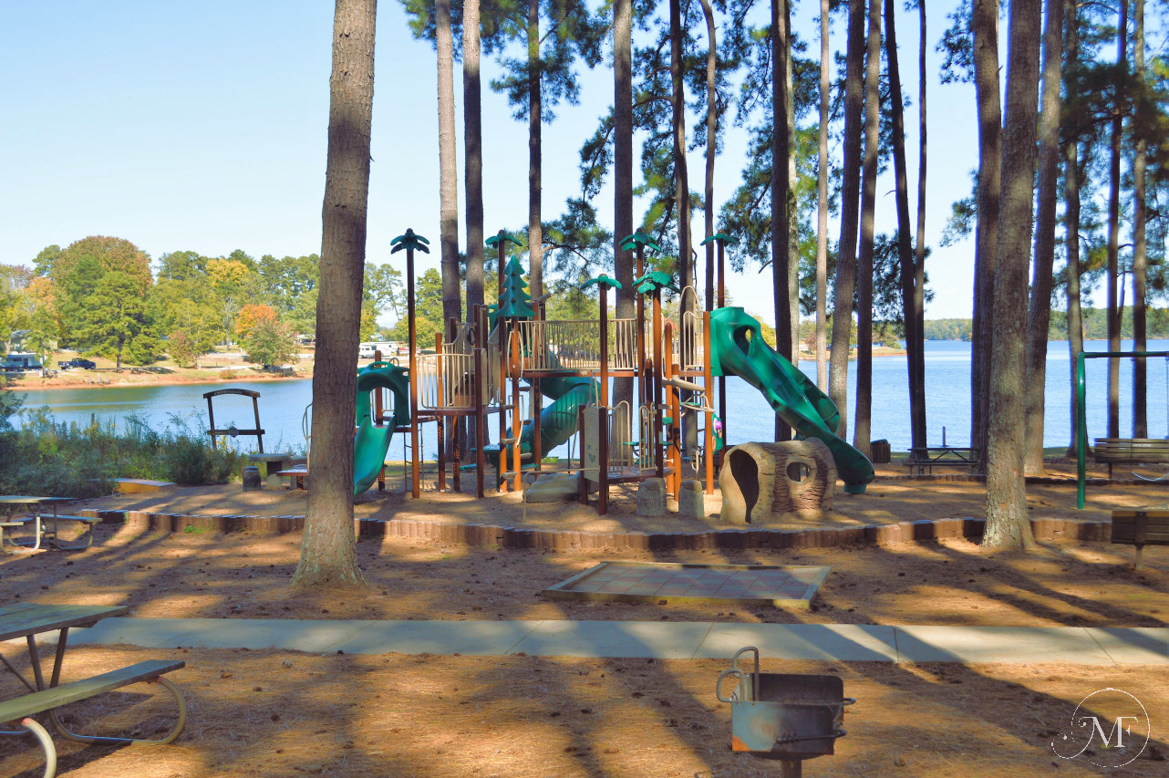 South Cove County Park - Lake Keowee Real Estate