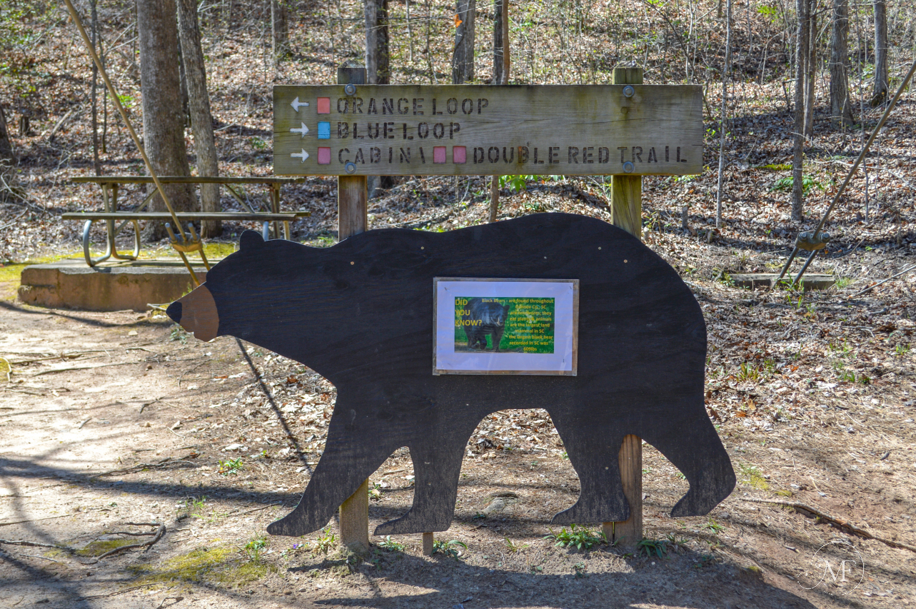 Chau Ram County Park - Lake Keowee Real Estate