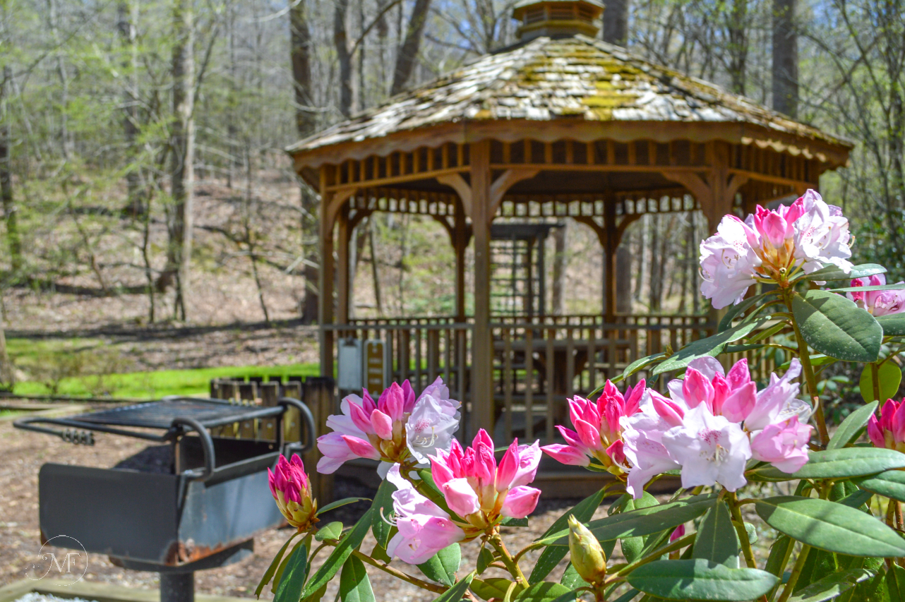 Chau Ram County Park - Lake Keowee Real Estate